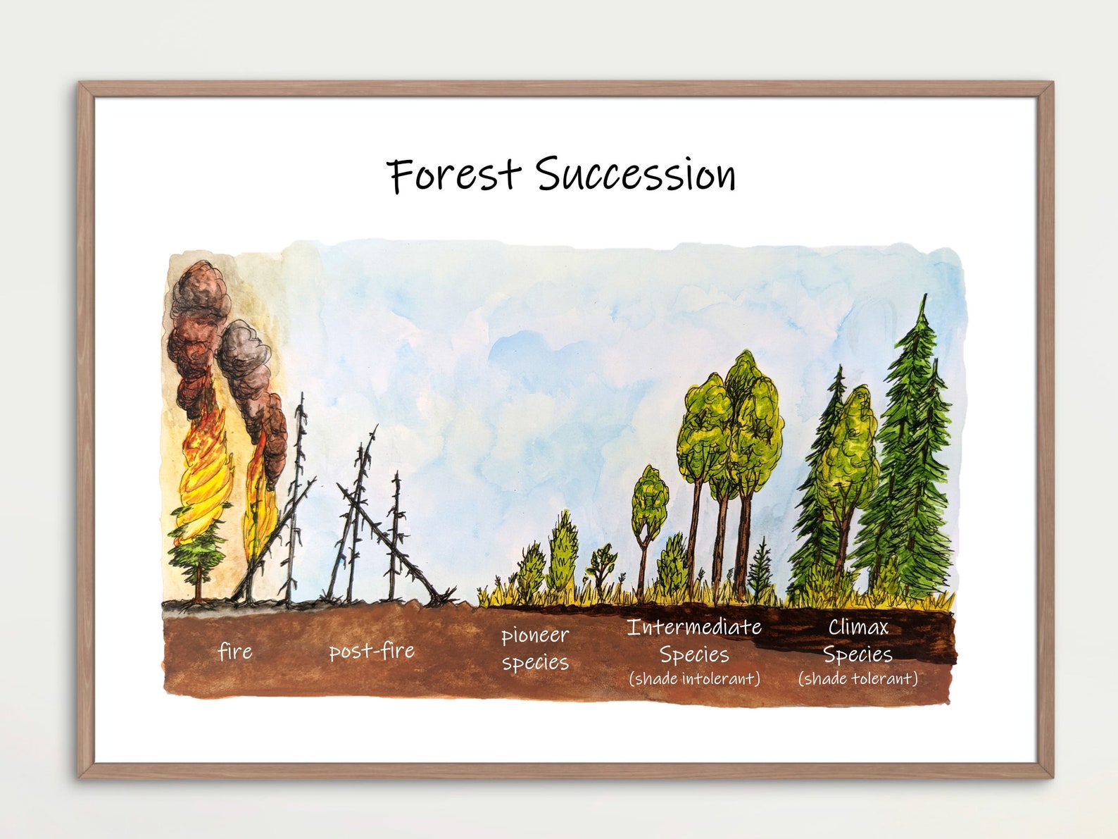 Forest School Prints Bundle: 13 Printable Classroom Posters - Etsy