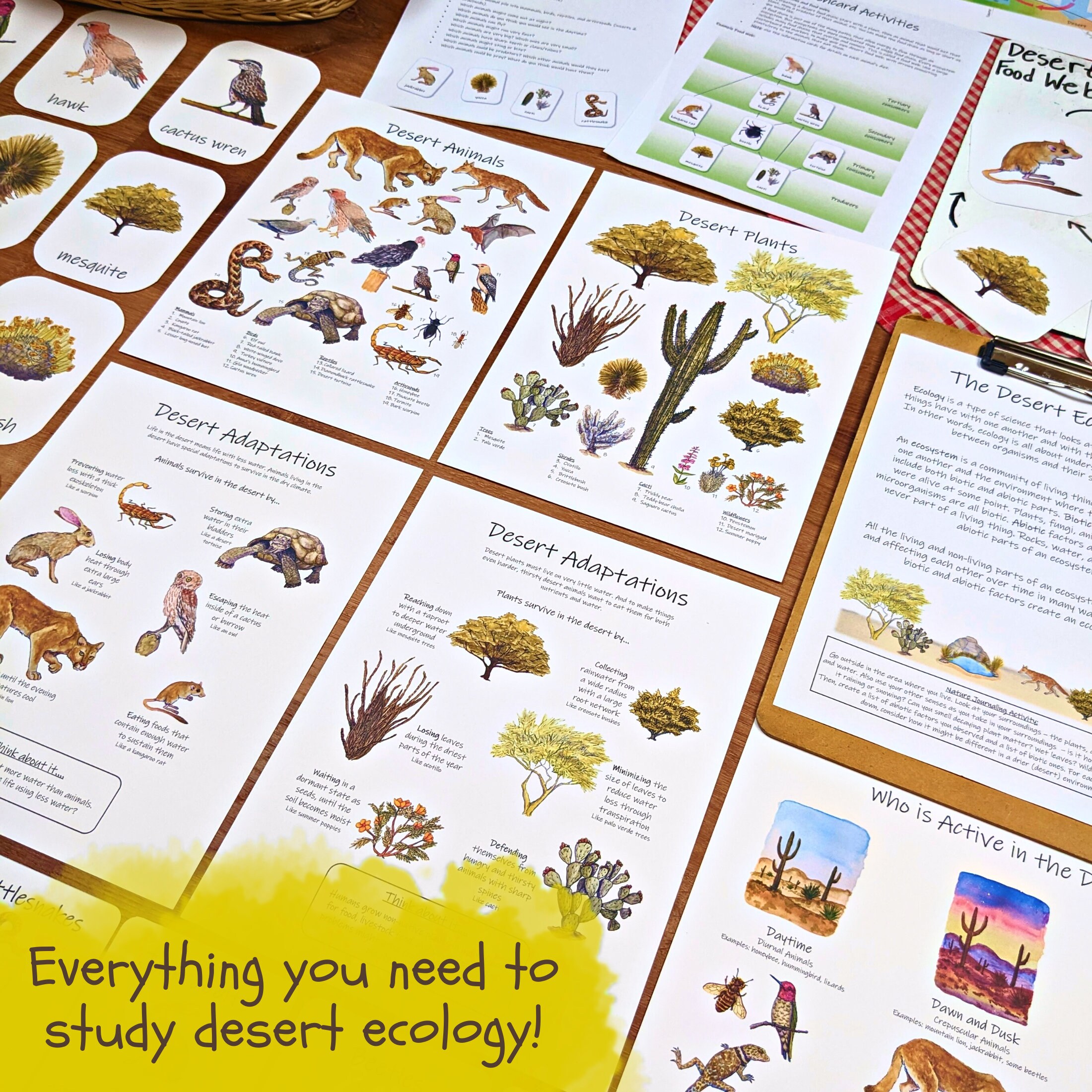 Desert Ecology Unit: Biome Study, Food Webs, Animal Adaptations (PDF ...