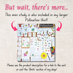 Pollination Mini Study: Classroom Posters & 3-part Cards (PDF Download ...
