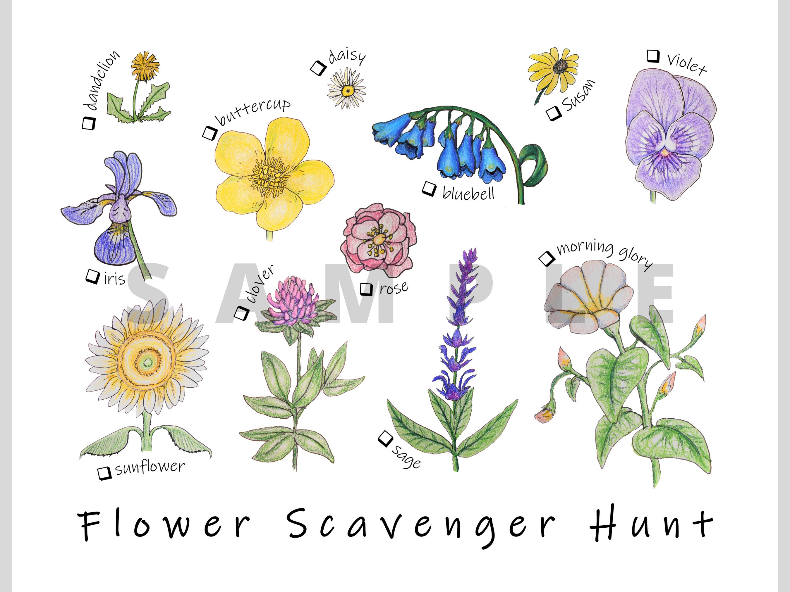 Wildflower Scavenger Hunt: Printable Game for Camping With - Etsy Finland