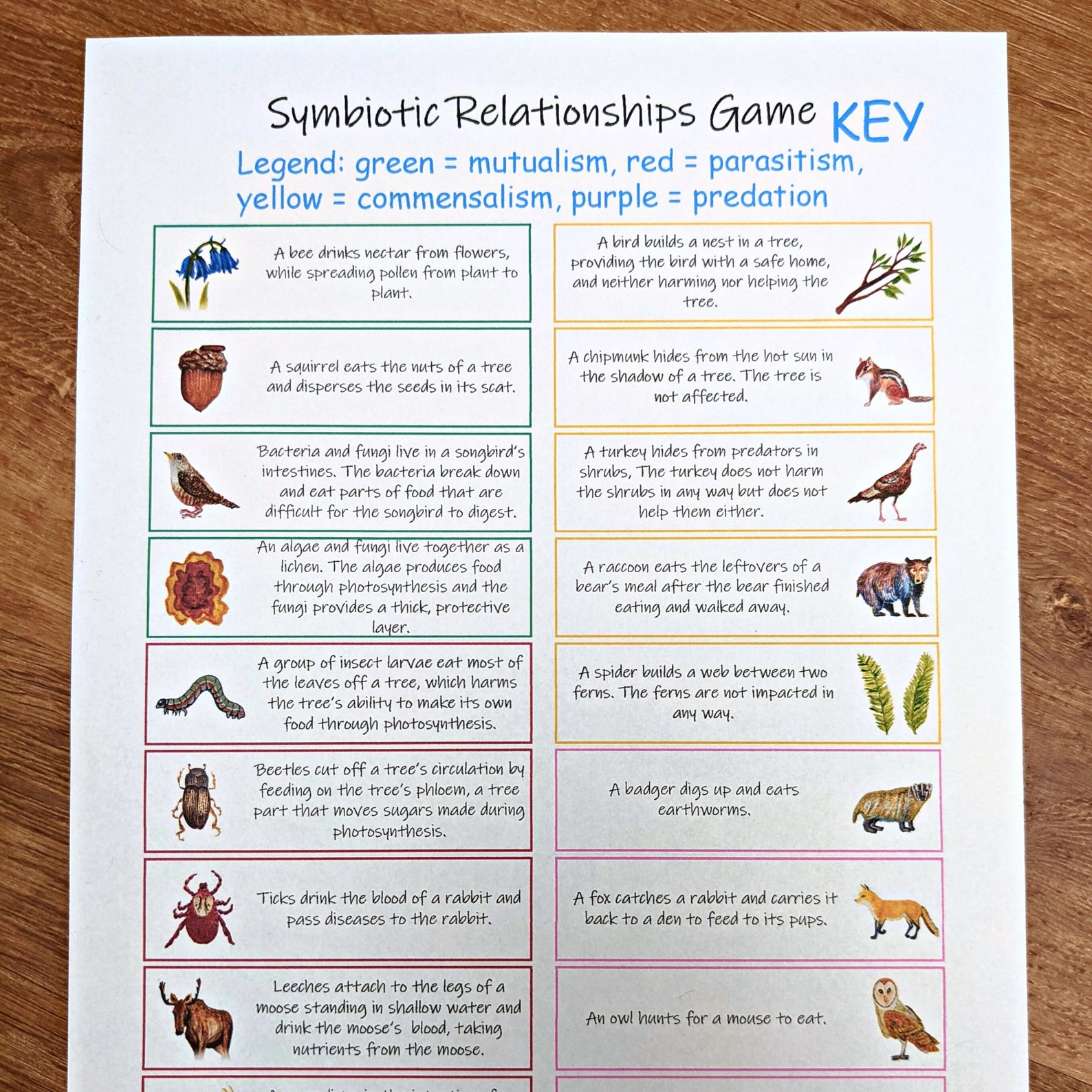 Symbiotic Relationships Mini Study: Ecology Homeschool Printables (PDF ...
