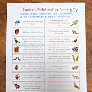 Symbiotic Relationships Mini Study: Ecology Homeschool Printables (PDF ...