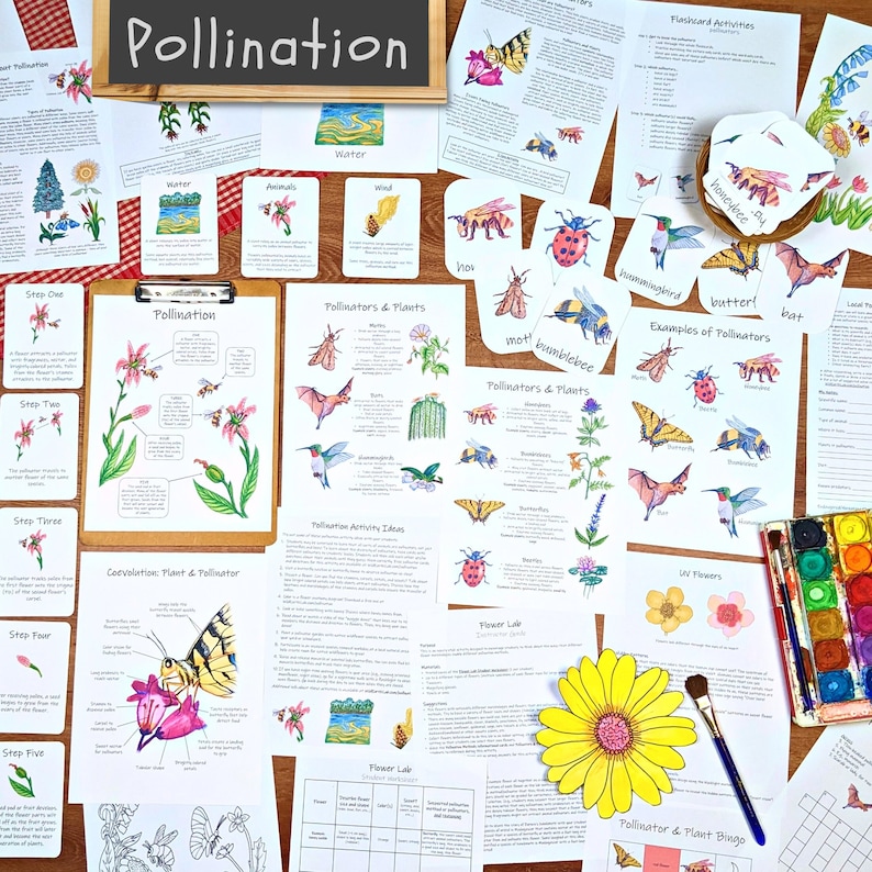 Pollination Unit: Activities, Lesson Plan, and Classroom Materials ...