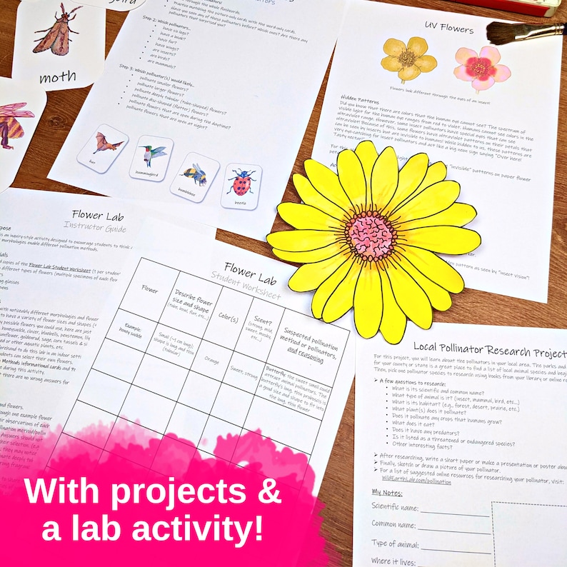 Pollination Unit: Activities, Lesson Plan, and Classroom Materials ...