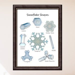Snowflake Mini Study: Learn About the Formation and Types of Snowflakes ...