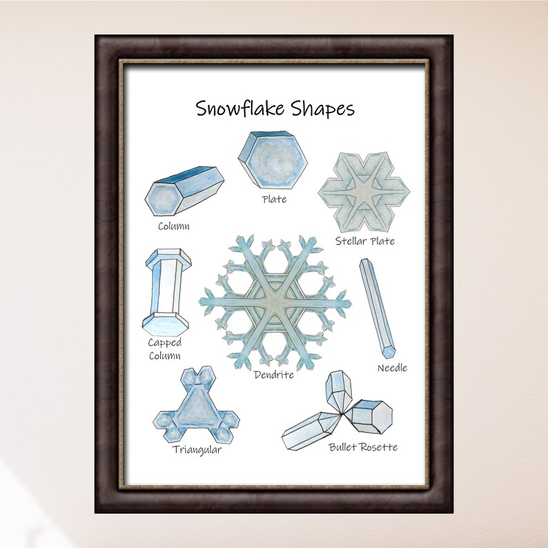 Snowflake Mini Unit Study: Formation & Types, Kids Activities (PDF) - Etsy