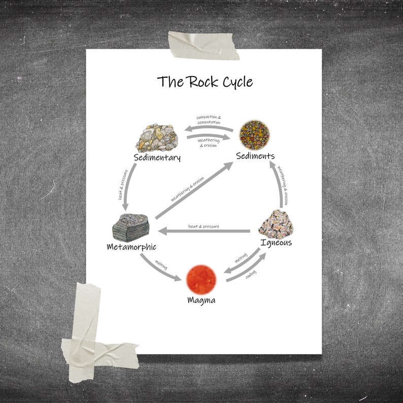 The Rock Cycle Diagram: Classroom Poster for Geology, Earth Science ...