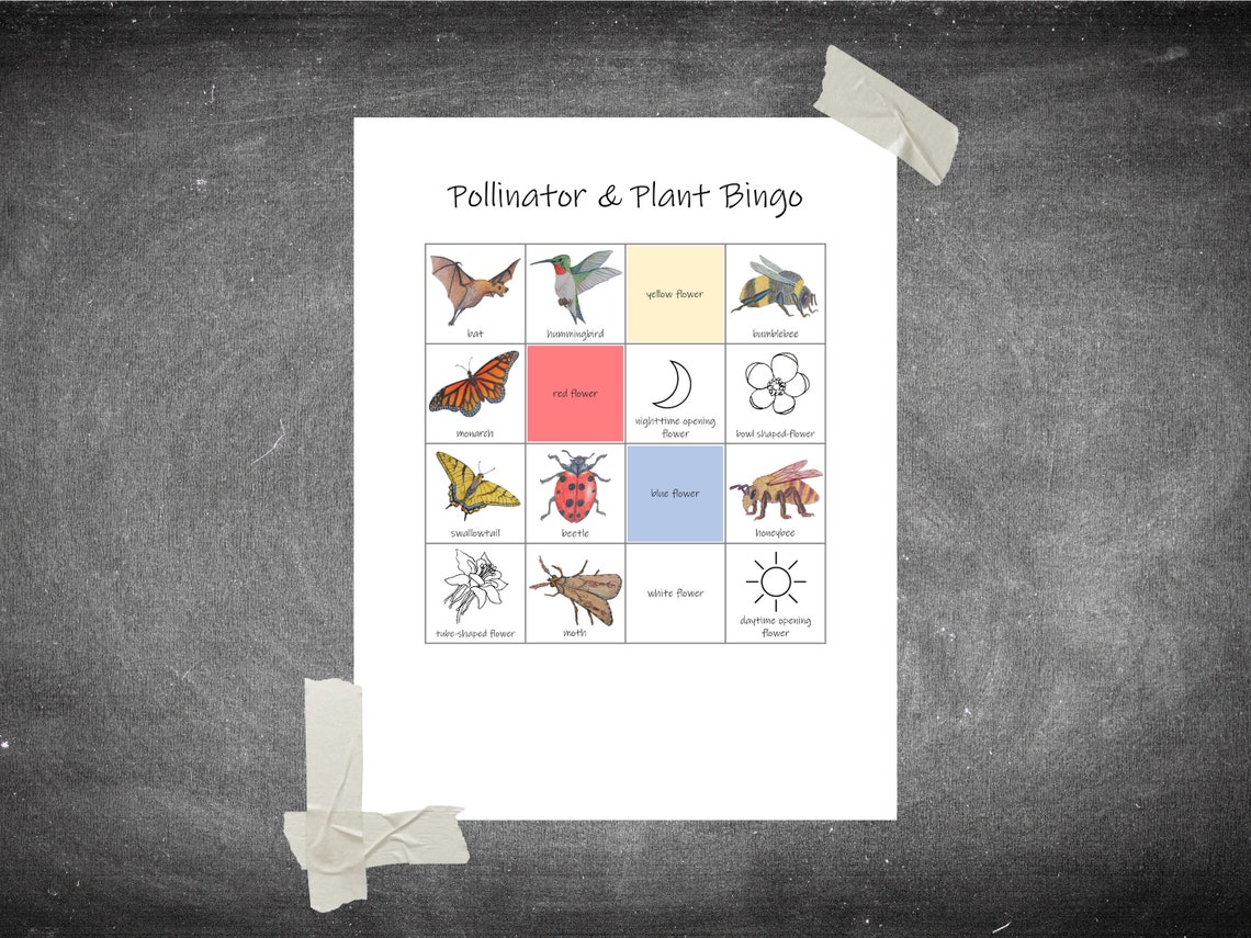 Pollinator and Plant Bingo: Set of 20 Unique Bingo Cards With Calling ...