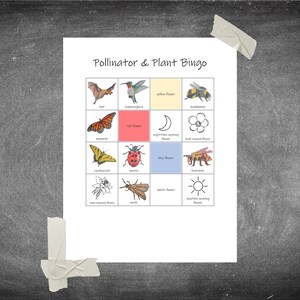 Pollinator and Plant Bingo: Set of 20 Unique Bingo Cards With Calling ...