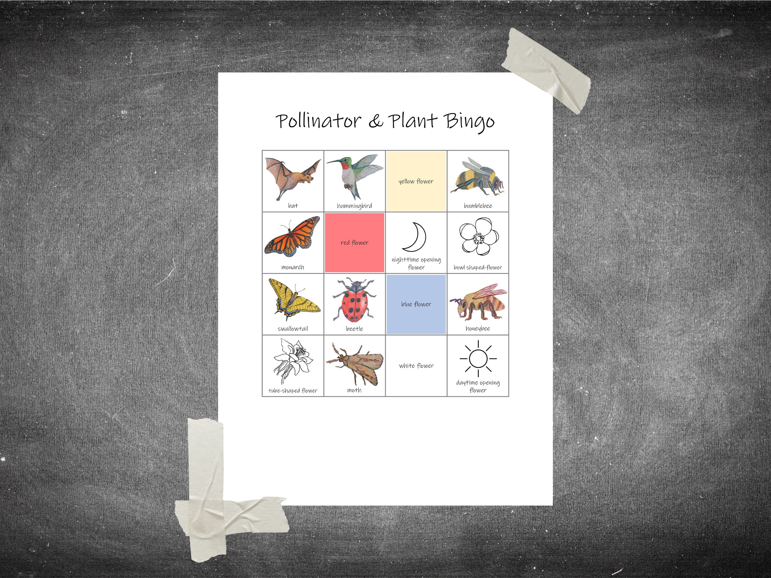 Pollinator and Plant Bingo: Set of 20 Unique Bingo Cards With Calling ...