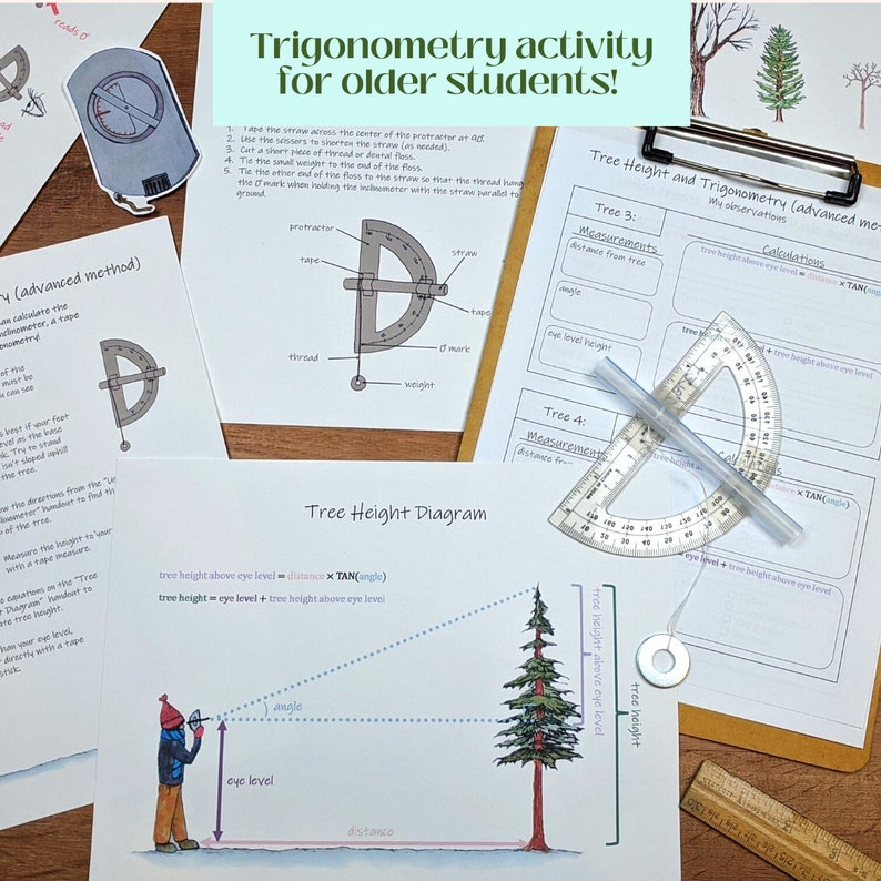 Trees & Trigonometry: Calculate Tree Height Using Math Angles Lesson ... Trees & Trigonometry: Calculate Tree Height Using Math Angles Lesson ...