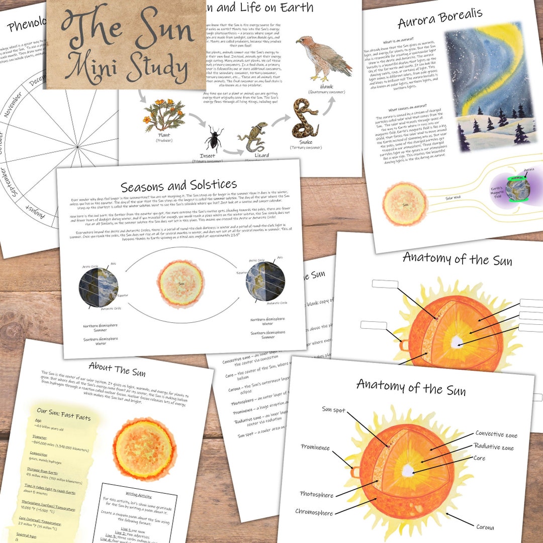Sun Mini Study: Homeschool Science Lesson (PDF Download) - Etsy