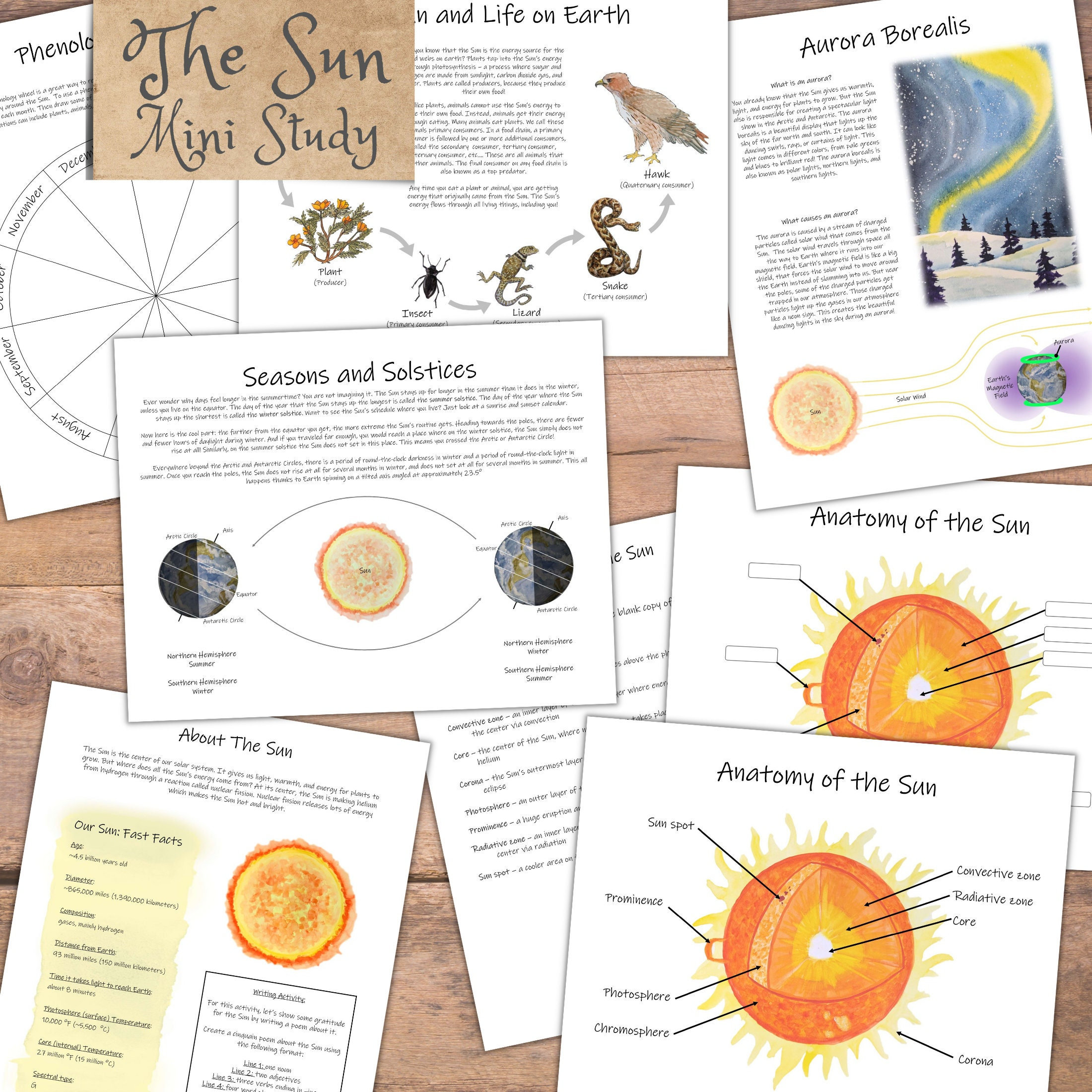 Sun Mini Study: Homeschool Science Lesson (PDF Download) - Etsy