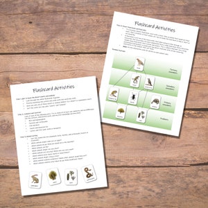 Desert Animals & Plants Mini Study: Handouts, Flashcards, Food Web ...