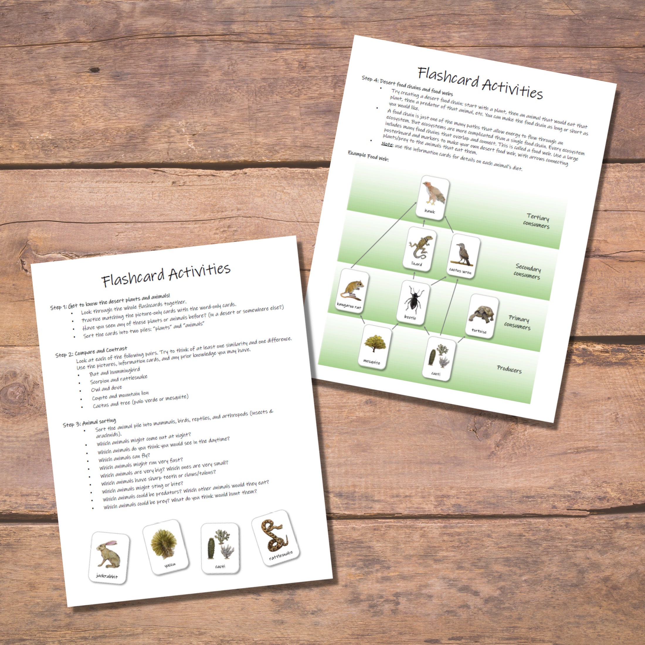 Desert Animals & Plants Mini Study: Wildlife of Deserts - Etsy