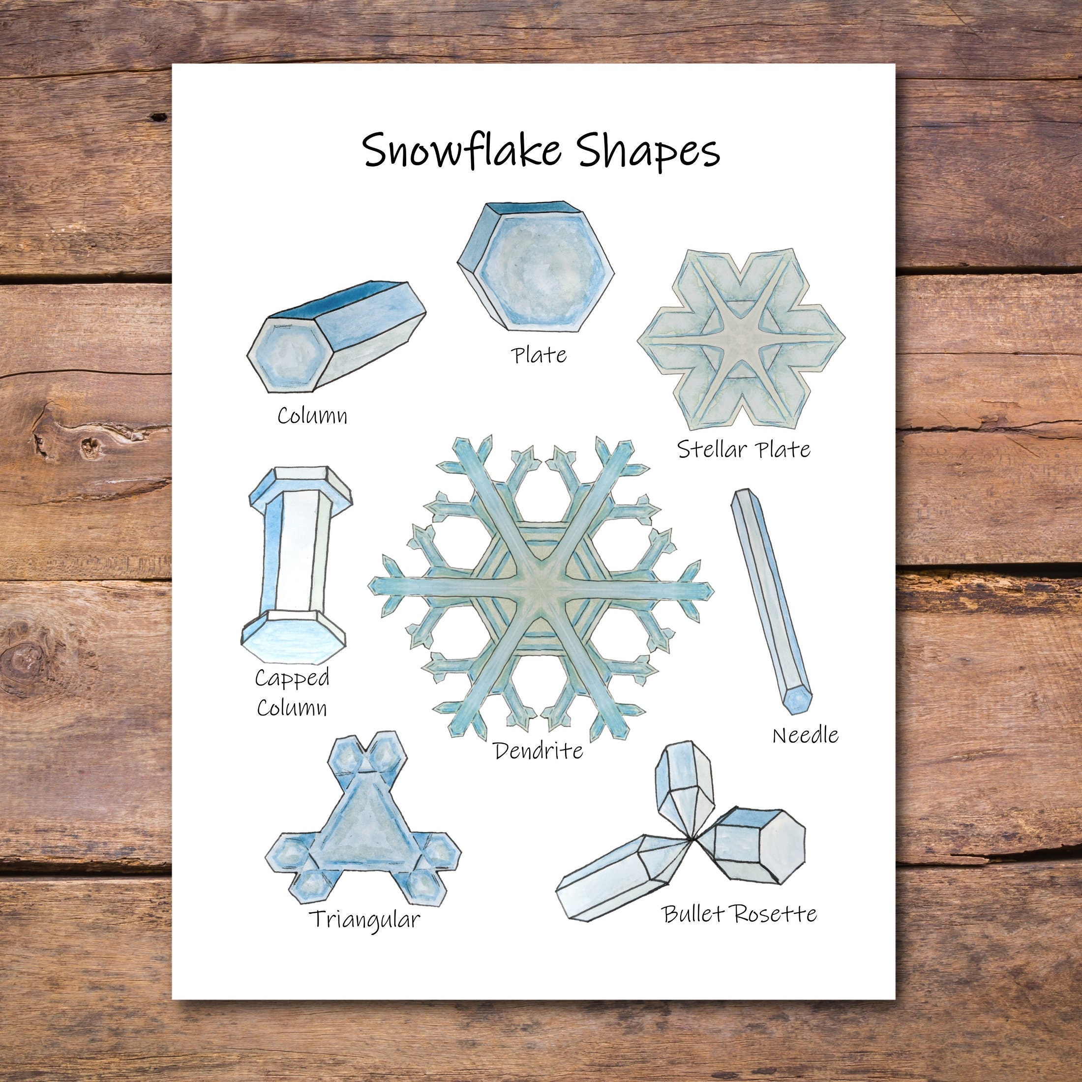 Types of Snowflakes: Classroom Poster, Snowflake Shapes Art Print ...