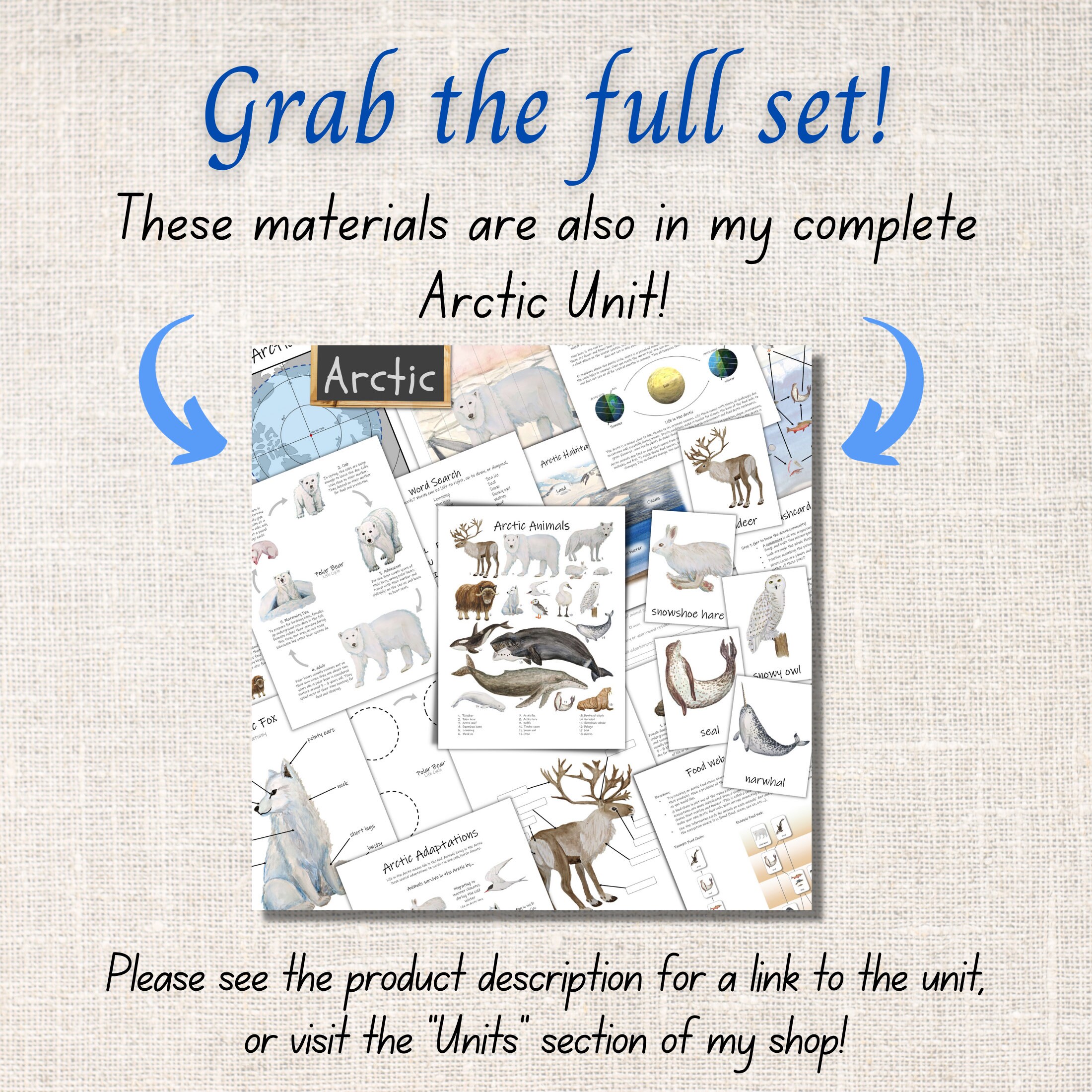 Arctic 3-part Cards: Nomenclature Cards, Arctic Animals, Ecology ...