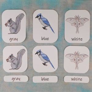 Nature Color Flashcards: Printable Three-part Cards Nature - Etsy