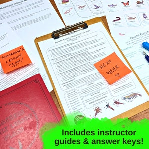 Aquatic Ecology: Macroinvertebrates Unit - Lesson Plan, Classroom ...