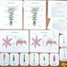 Botany Collection: Study Plants, Pollination, and More Plant Unit ...