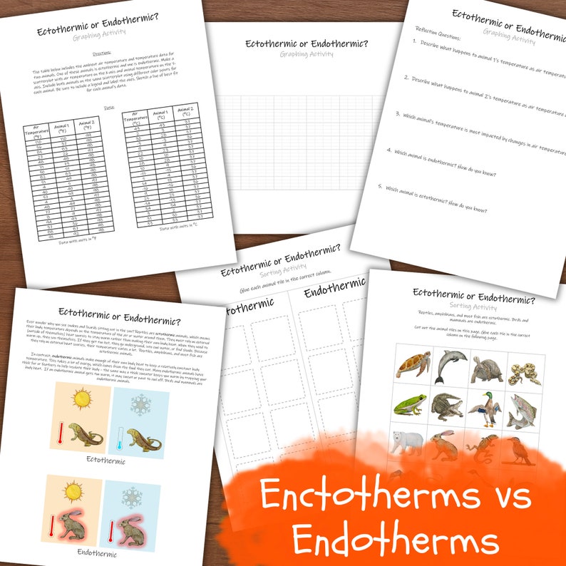 Reptiles Unit: Biodiversity Homeschool Lessons (PDF Download) - Etsy