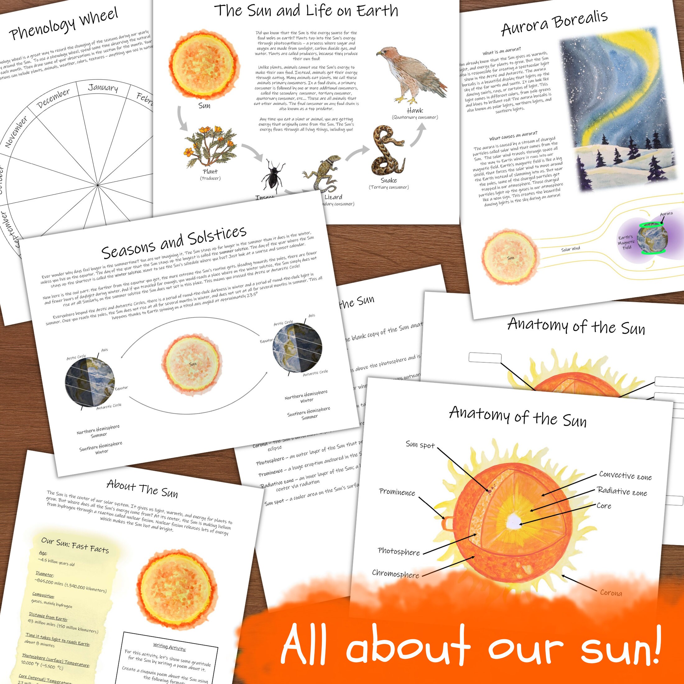 Sun Unit: Study Stars, Solar Eclipses, the Solar System, Seasons, and ...