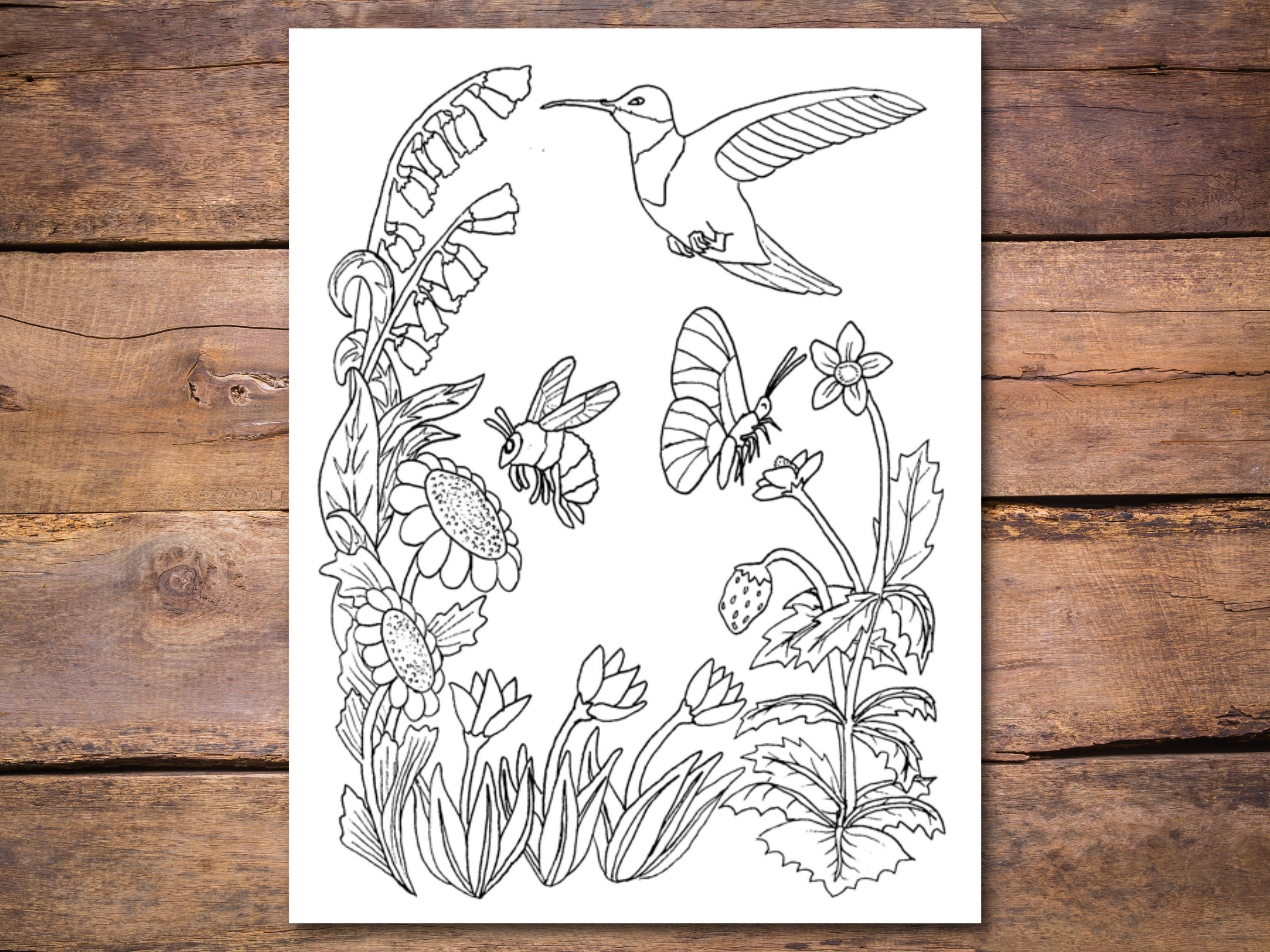 Pollination Coloring Page: printable pollinators coloring for - Etsy México