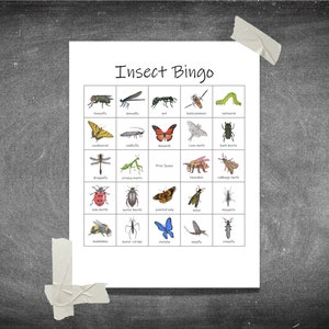 Insect Bingo Set: 20 Unique Cards With Calling Cards, Printable Game ...