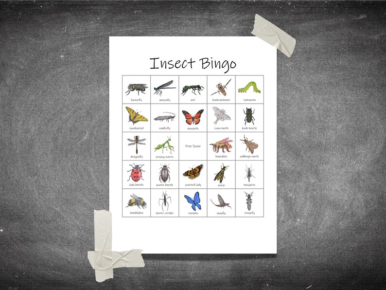 Juego de bingo de insectos: 20 tarjetas exclusivas con tarjetas de presentación, juego ...