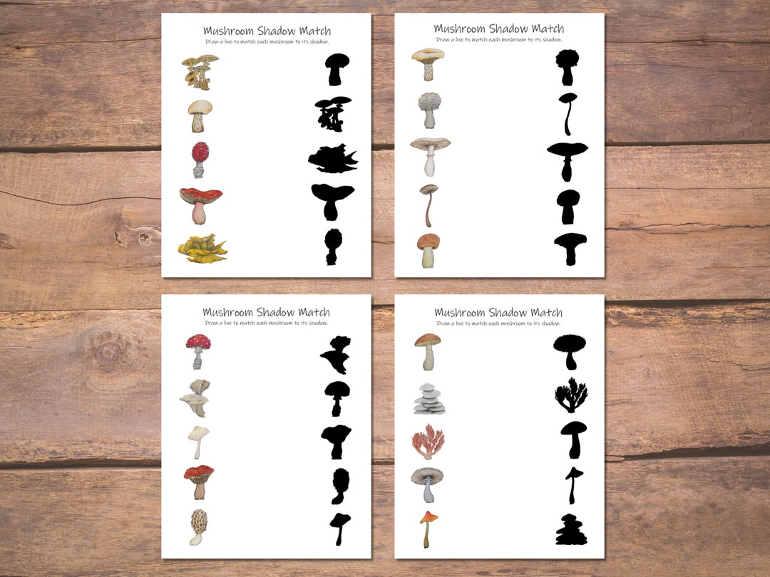 Mushroom Matching: 4 Shadow Match Activities, Busy Book Pages, Game for ...