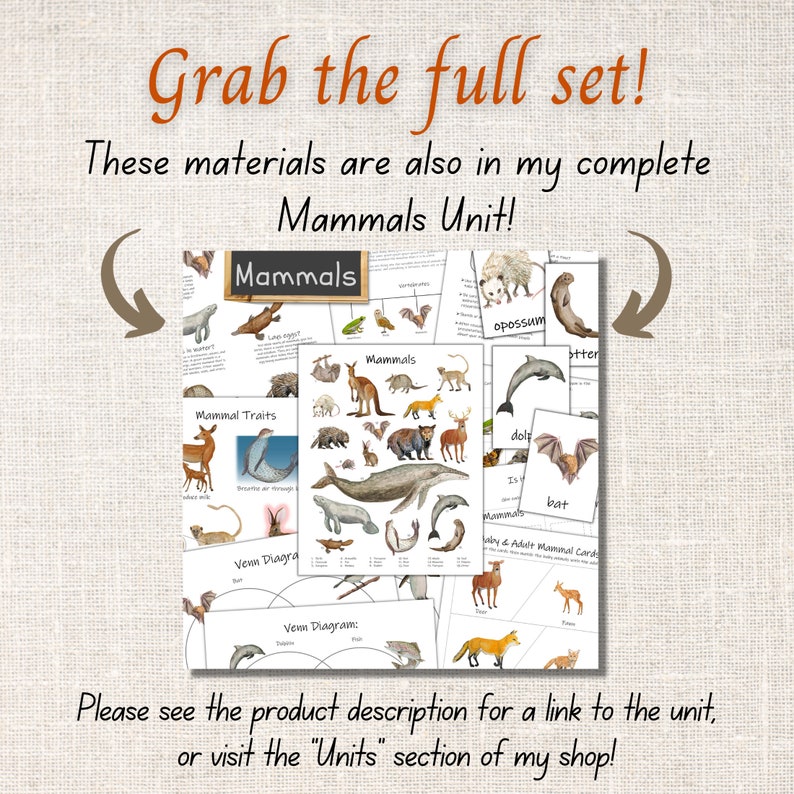 Watercolor Mammals Classroom Poster: Homeschool Decor (digital Download ...