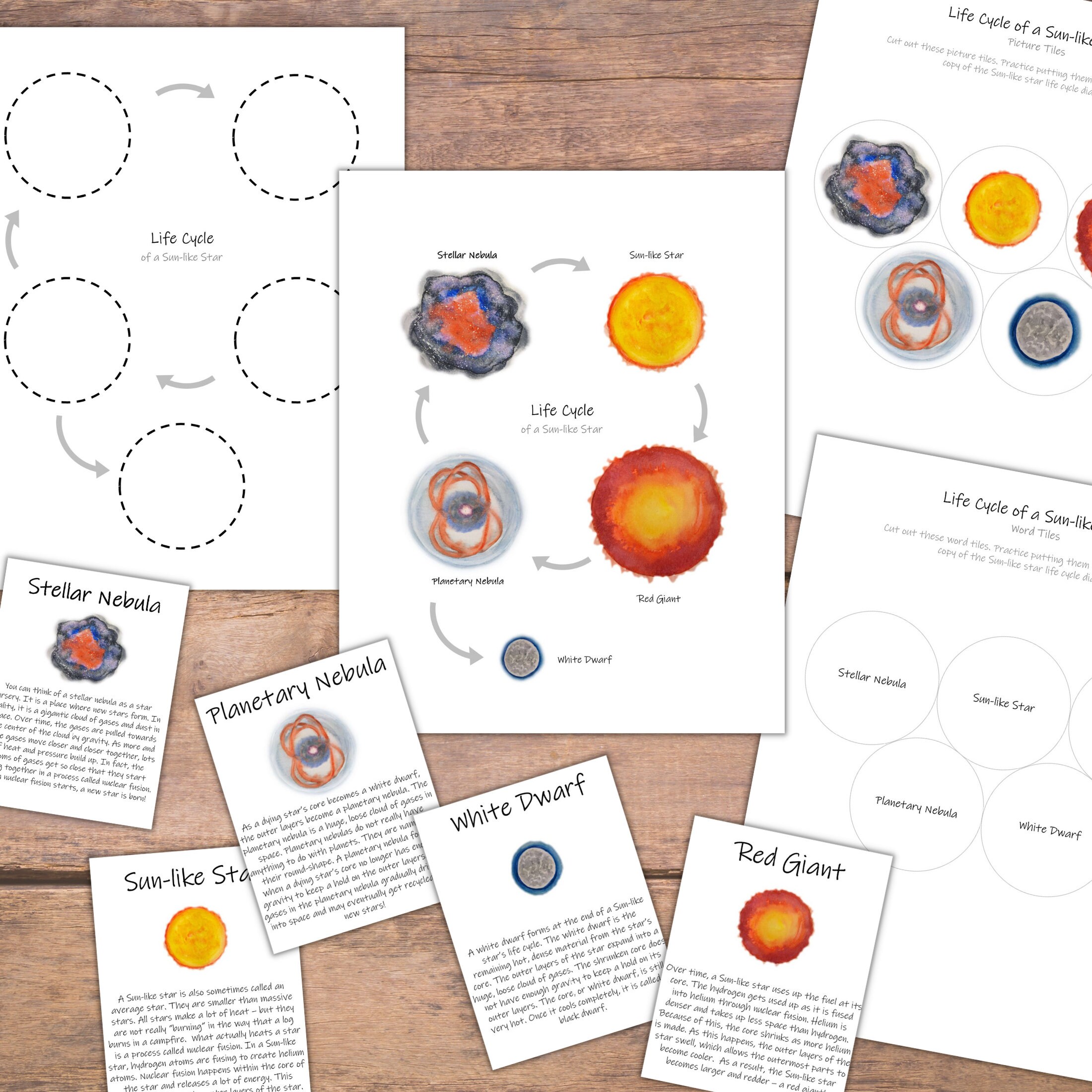 Star Life Cycles: Astronomy Mini Study With Labeled & Unlabeled ...
