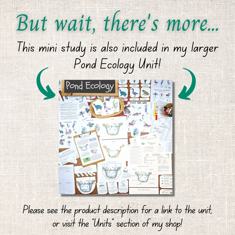 Pond Habitat Mini Study: Science Activity Pack Homeschool - Etsy