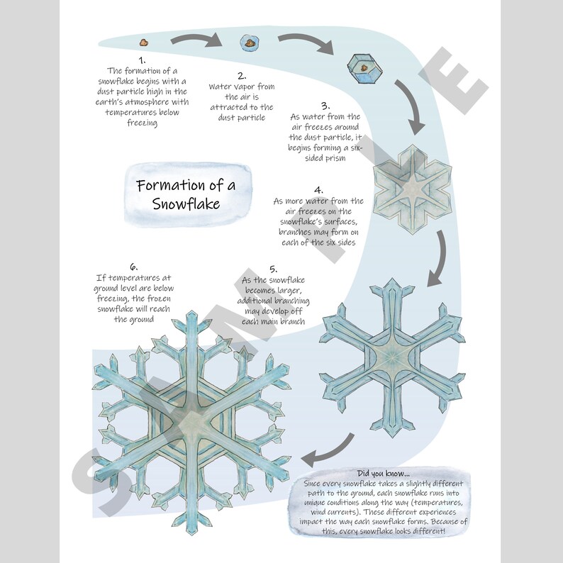 Snowflake Formation Poster: How Snowflakes Form, Science Poster ...
