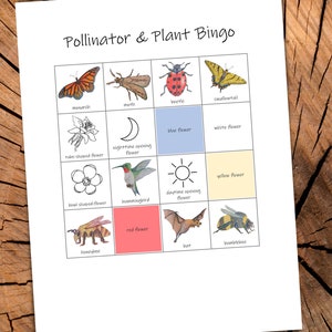 Pollinator and Plant Bingo: Set of 20 Unique Bingo Cards With Calling ...