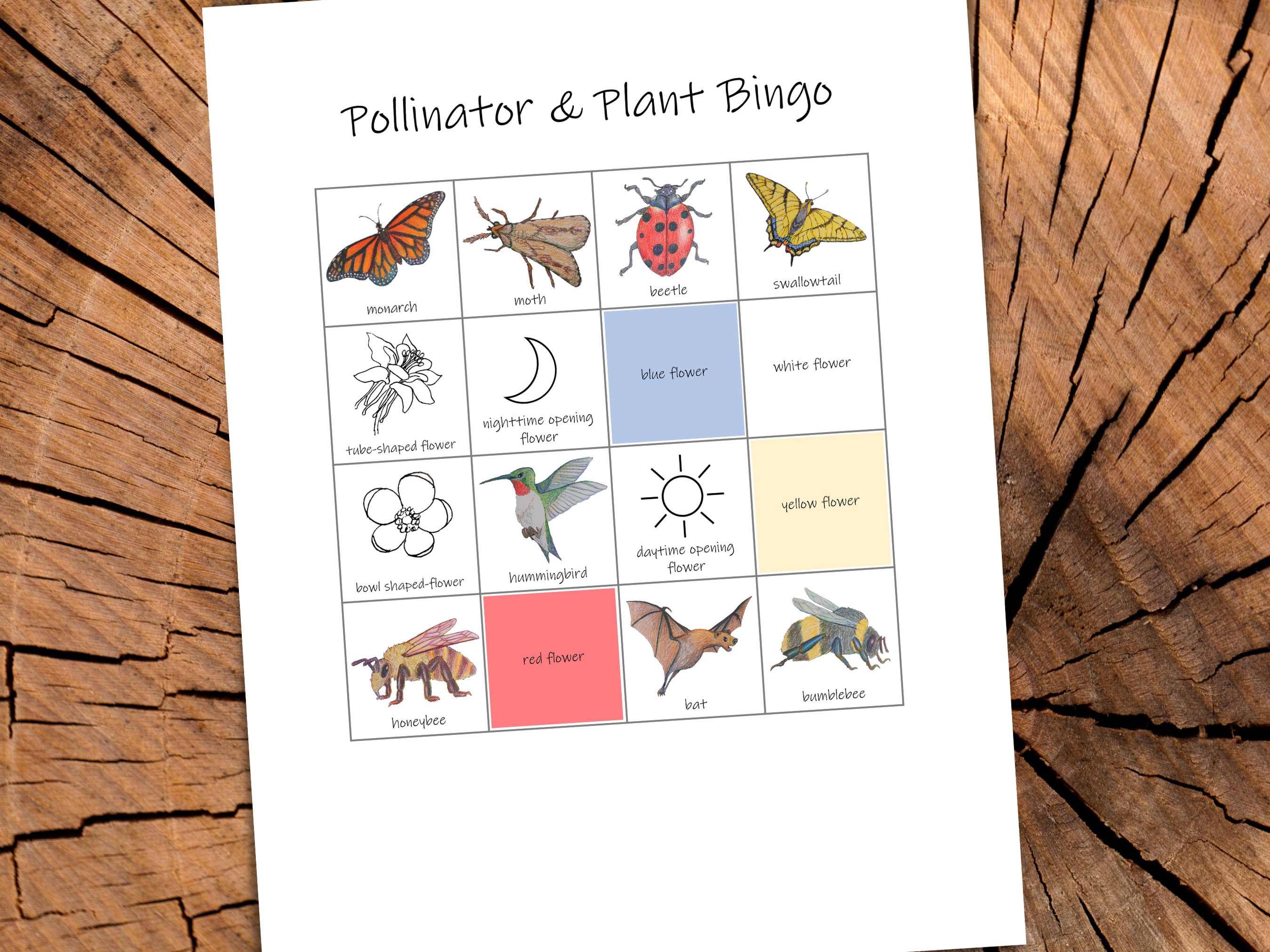 Pollinator and Plant Bingo: Set of 20 Unique Bingo Cards With Calling ...