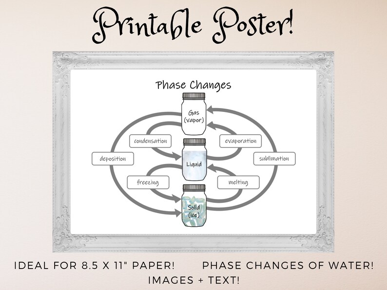 Phase Change Diagram: Phases of Water Classroom Poster, Science Diagram ...