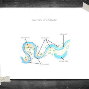 River Anatomy Map: Science Diagram Parts of a River - Etsy