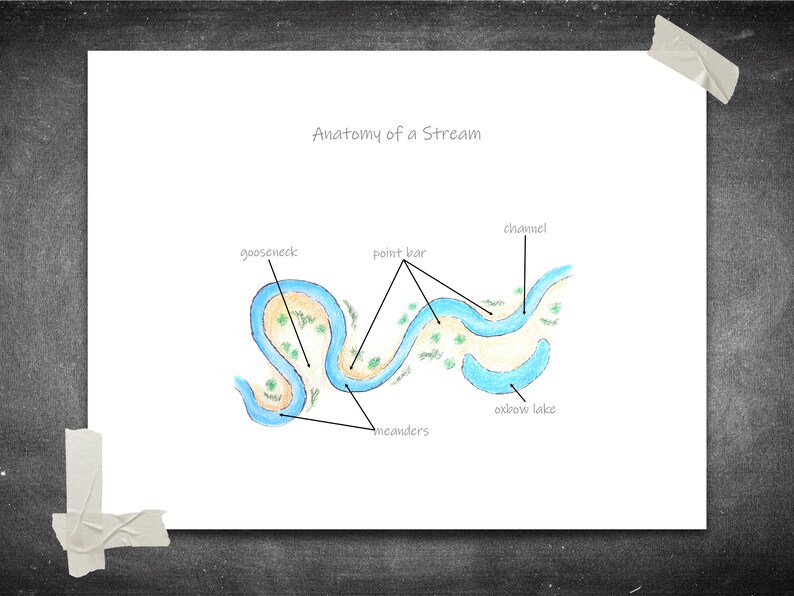 River Anatomy Map: Science Diagram Parts of a River - Etsy