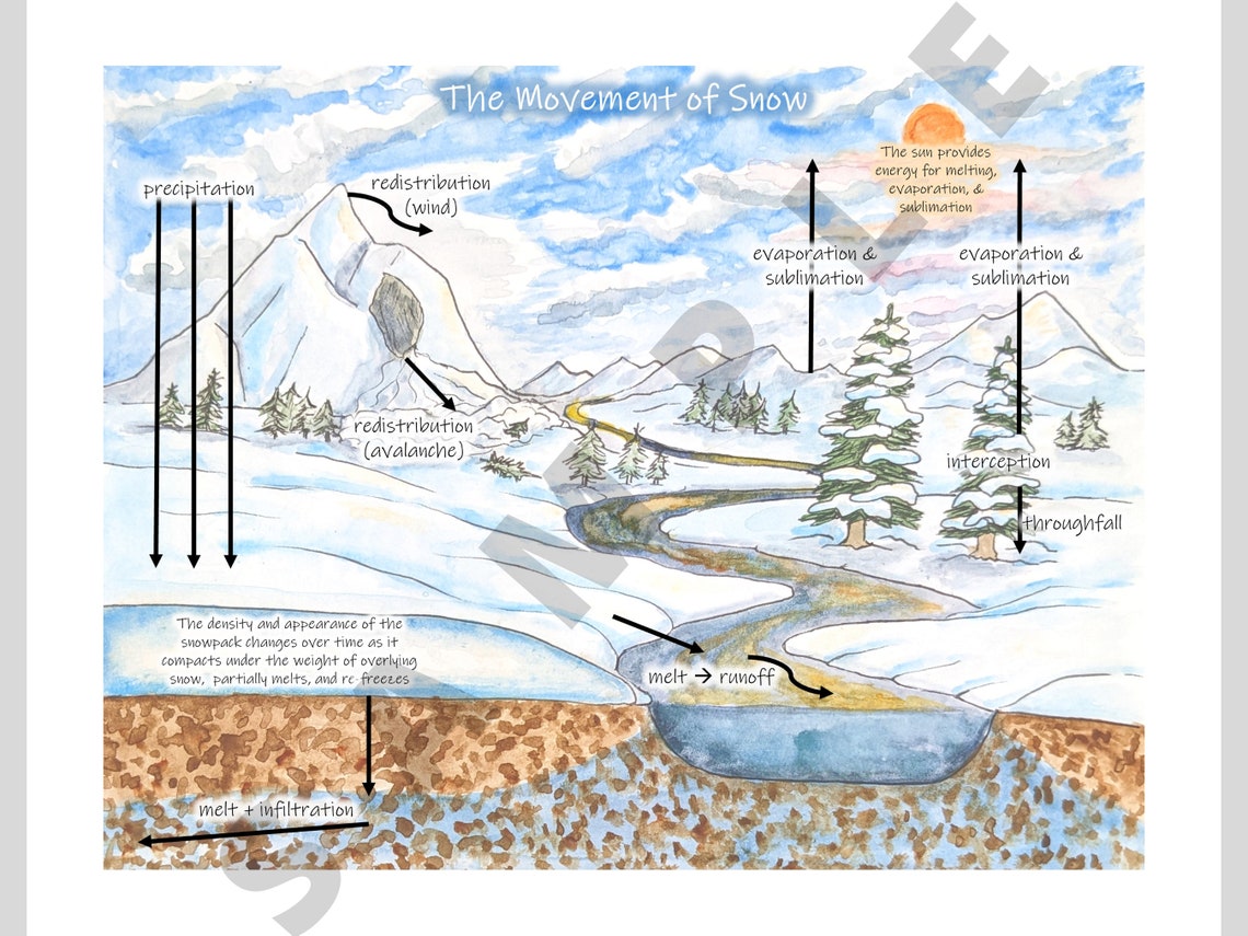 Movement of Snow Diagram: Winter Water Cycle Snow in the - Etsy