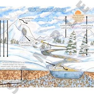 Movement of Snow Diagram: Winter Water Cycle, Snow in the Water Cycle ...