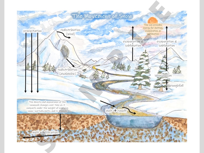 Movement of Snow Diagram: Winter Water Cycle, Snow in the Water Cycle ...