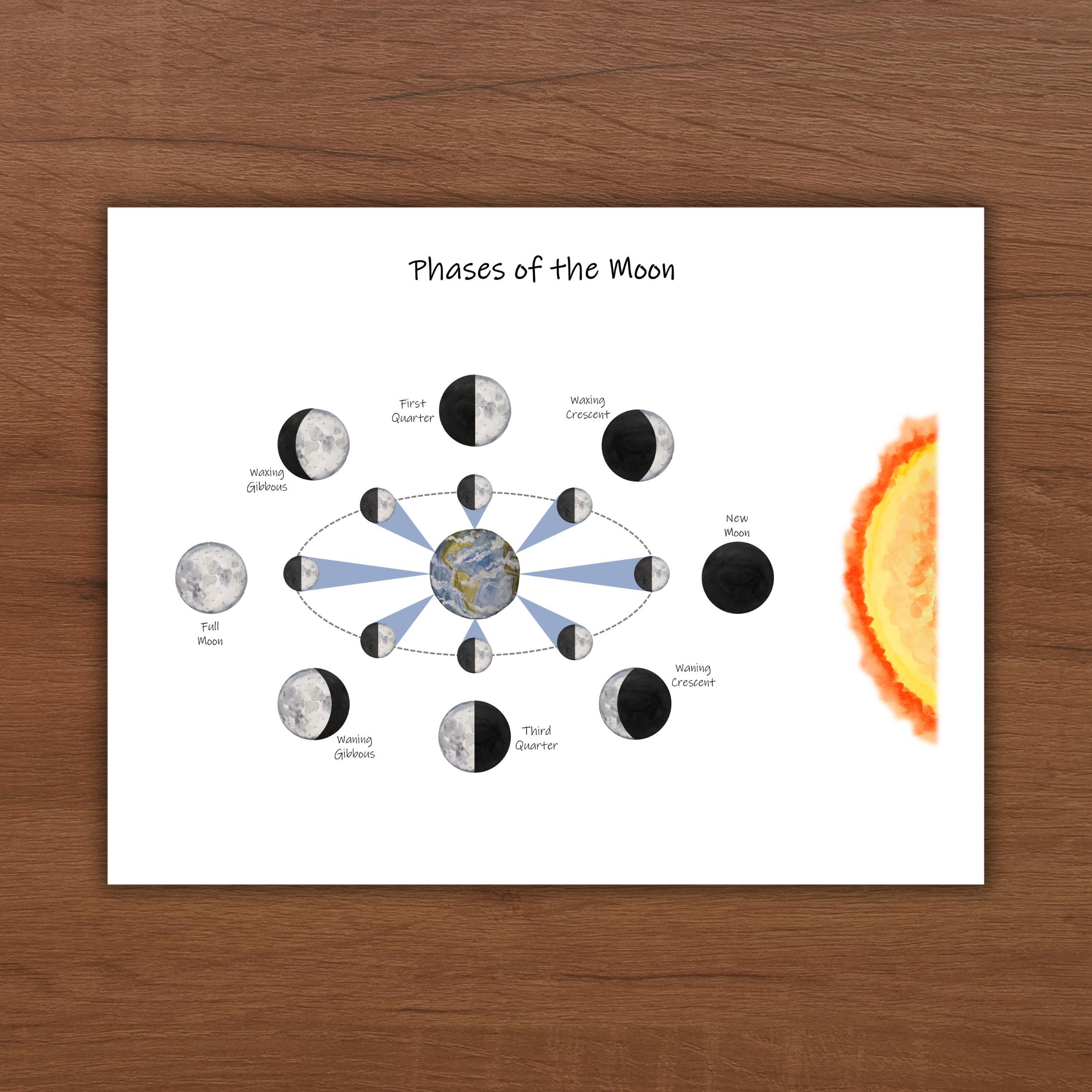 Lunar Phases Poster: Printable Moon Diagram for Classroom (PDF) - Etsy ...