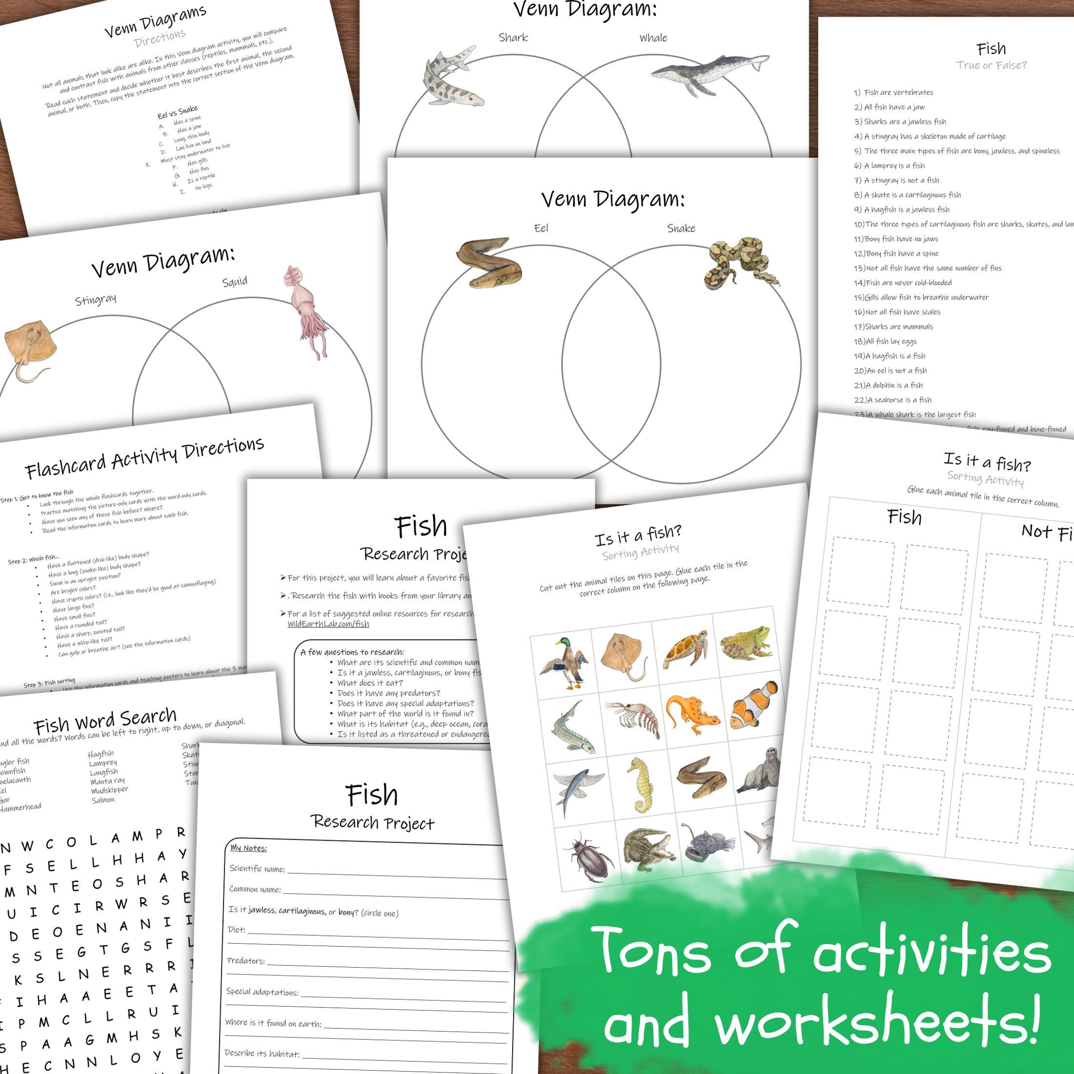 Fish Unit: Printable Handouts, Flashcards, & Activities (PDF Download ...