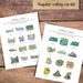 Landforms Bingo Set: 25 Unique Bingo Cards Review Game for Studying ...