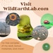Food Webs Unit: Ecology Activities, Worksheets, & Printables (PDF ...
