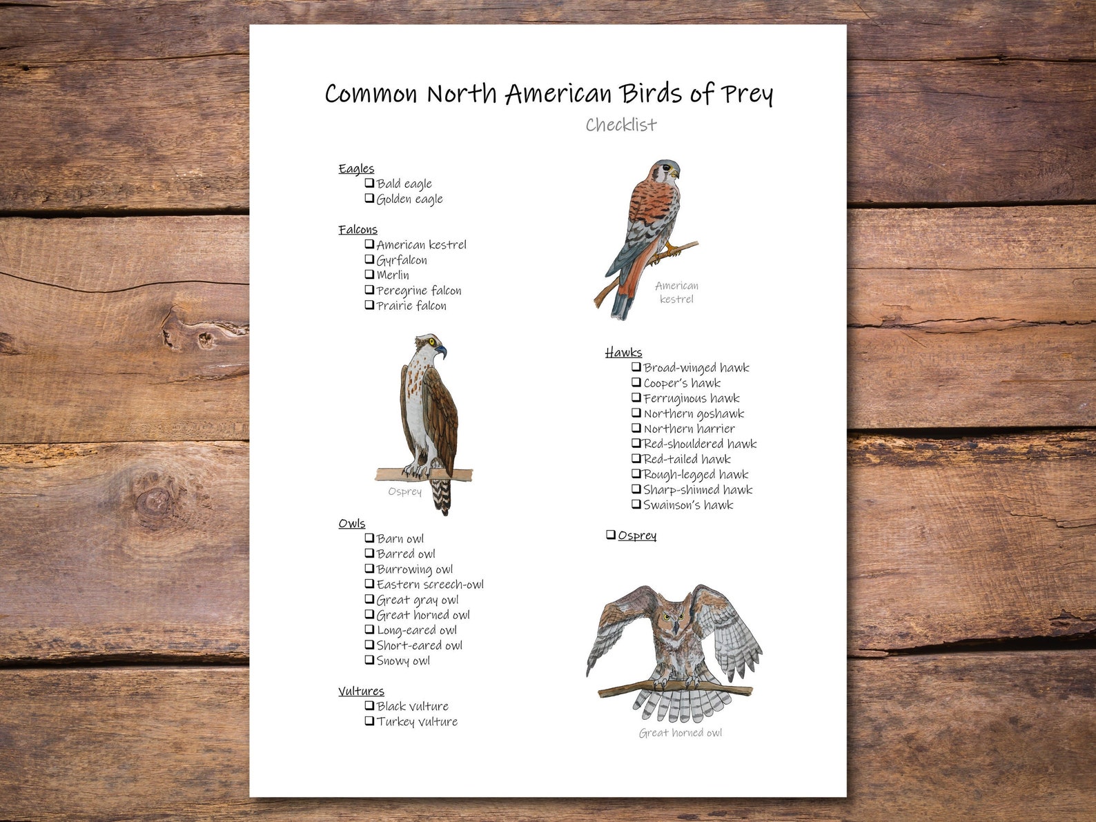 Common Raptors Checklist: North American Birds of Prey List - Etsy