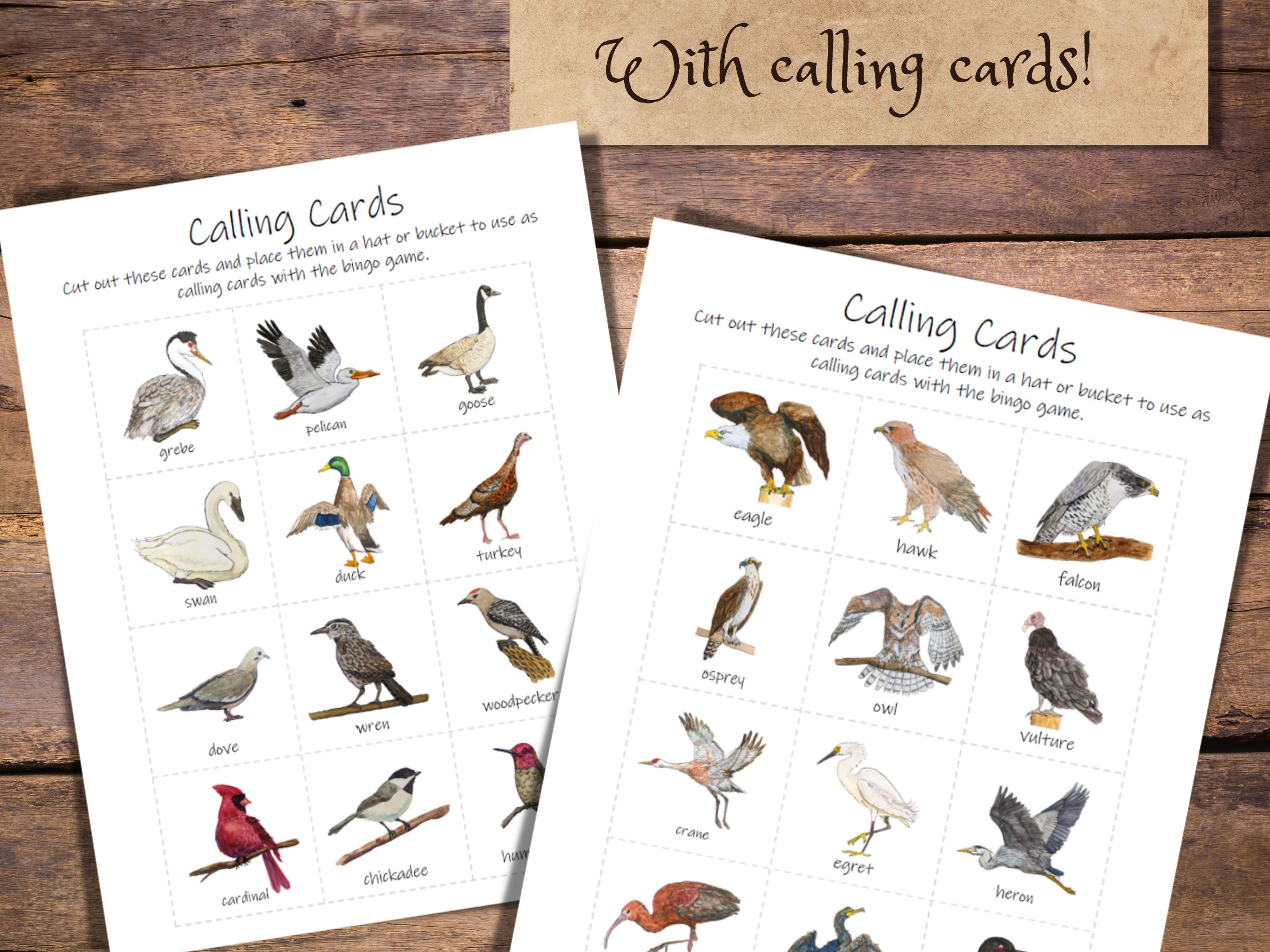 Bird Bingo Set: 20 Unique Bingo Cards With Calling Cards Kids' Birthday ...