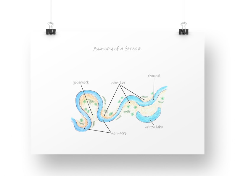 River Anatomy Map: Science Diagram Parts of a River - Etsy