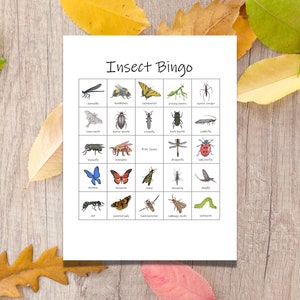 Insect Bingo Set: 20 Unique Cards With Calling Cards, Printable Game ...